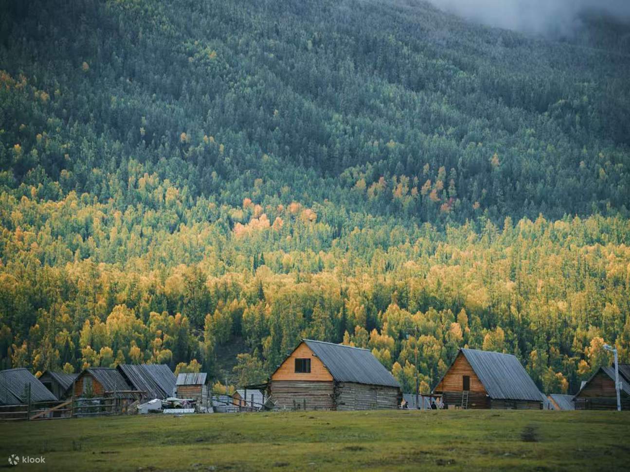 [Private Customized Tour] 7-Day to 9-Day Tour of Northern Xinjiang, Ili, and Altay (Selected ...